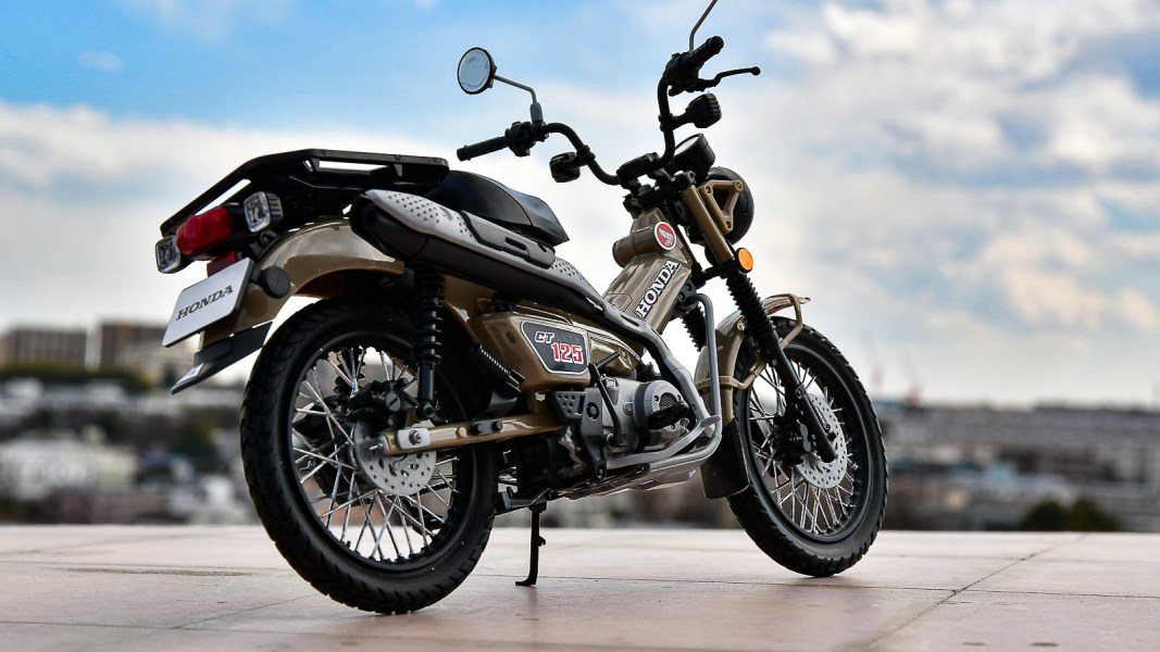 DSC_2974-1 | nippper