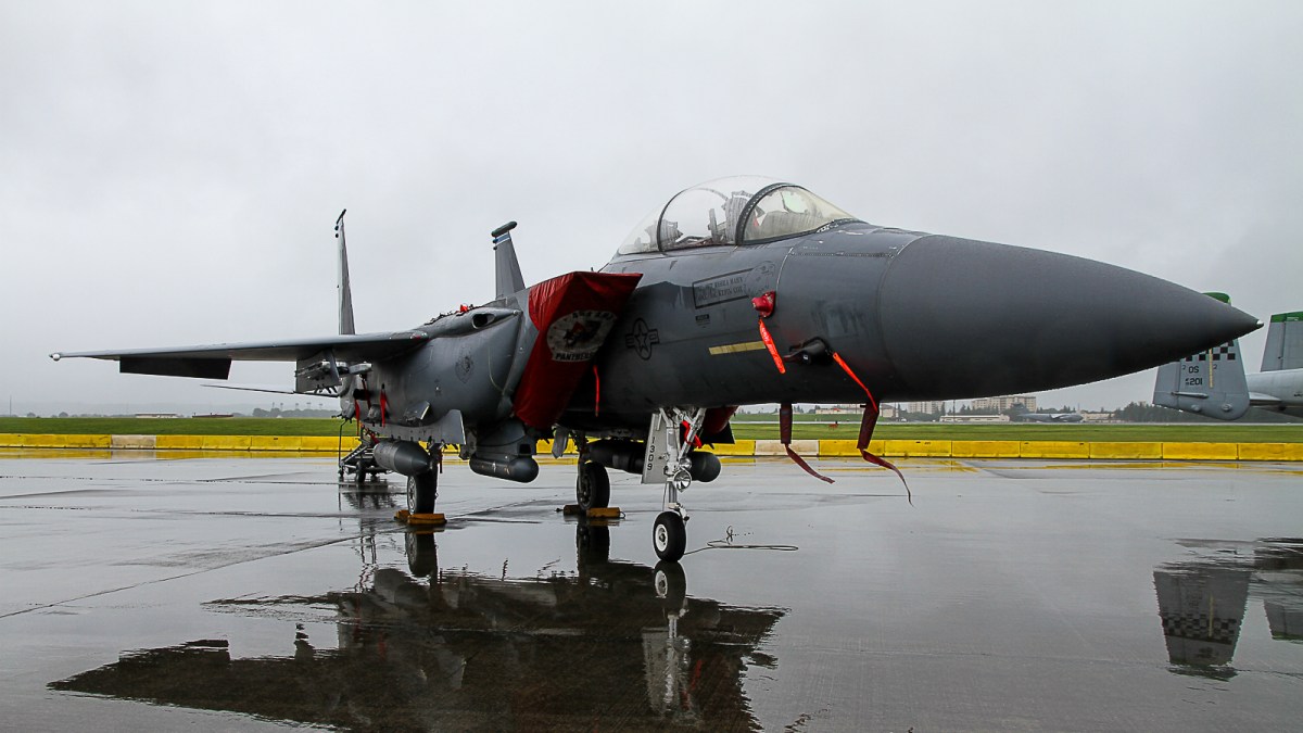 見た目は同じ、中身は別物！ その名は「ストライクイーグル」！！／「ハセガワ アメリカ空軍 F-15E」 | nippper: ニッパーを握るすべての人と、プラモデルの楽しさをシェアするサイト