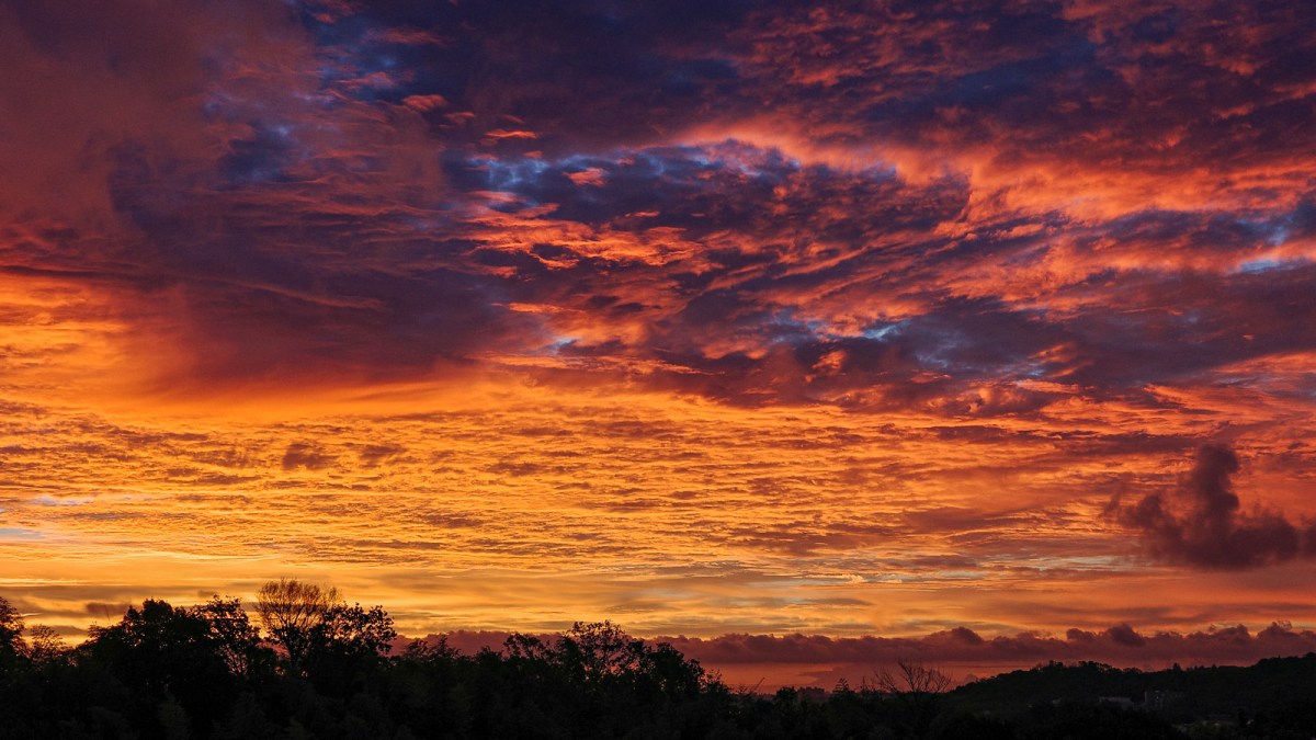 フミテシの記事一覧 Page 13 | nippper: ニッパーを握るすべての人と、モケイの楽しさをシェアするサイト