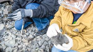 福井県立恐竜博物館で「本物」を体験してからプラモデルに触れた話。 | nippper: ニッパーを握るすべての人と、プラモデルの楽しさをシェアするサイト