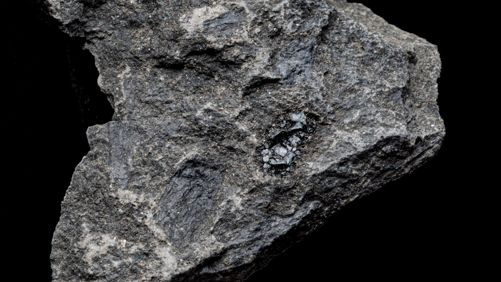 福井県立恐竜博物館で「本物」を体験してからプラモデルに触れた話。 | nippper: ニッパーを握るすべての人と、プラモデルの楽しさをシェアするサイト