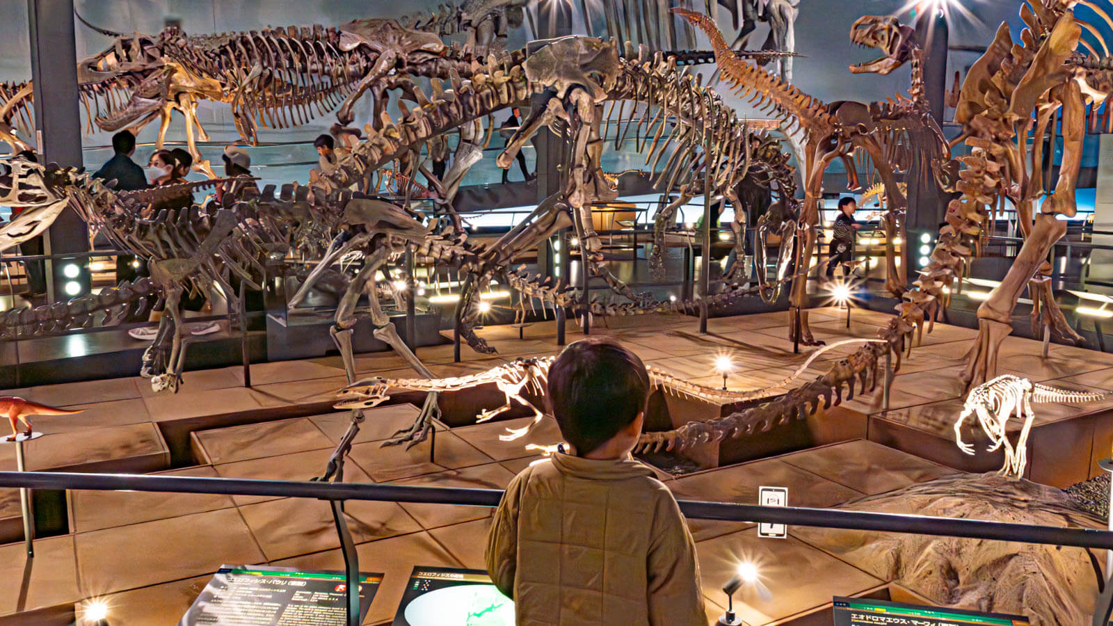 福井県立恐竜博物館で「本物」を体験してからプラモデルに触れた話。 | nippper: ニッパーを握るすべての人と、プラモデルの楽しさをシェアするサイト