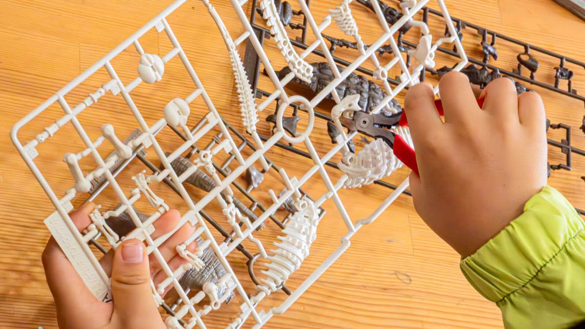 福井県立恐竜博物館で「本物」を体験してからプラモデルに触れた話。 | nippper: ニッパーを握るすべての人と、プラモデルの楽しさをシェアするサイト