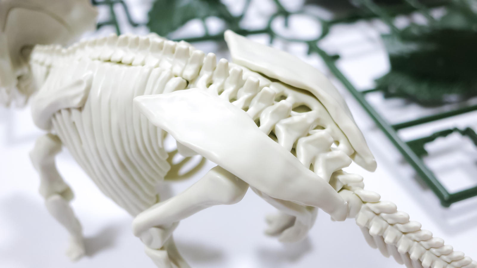 何度も手に取りたくなるプラモデル／プラノサウルス トリケラトプス | nippper: ニッパーを握るすべての人と、プラモデルの楽しさをシェアするサイト