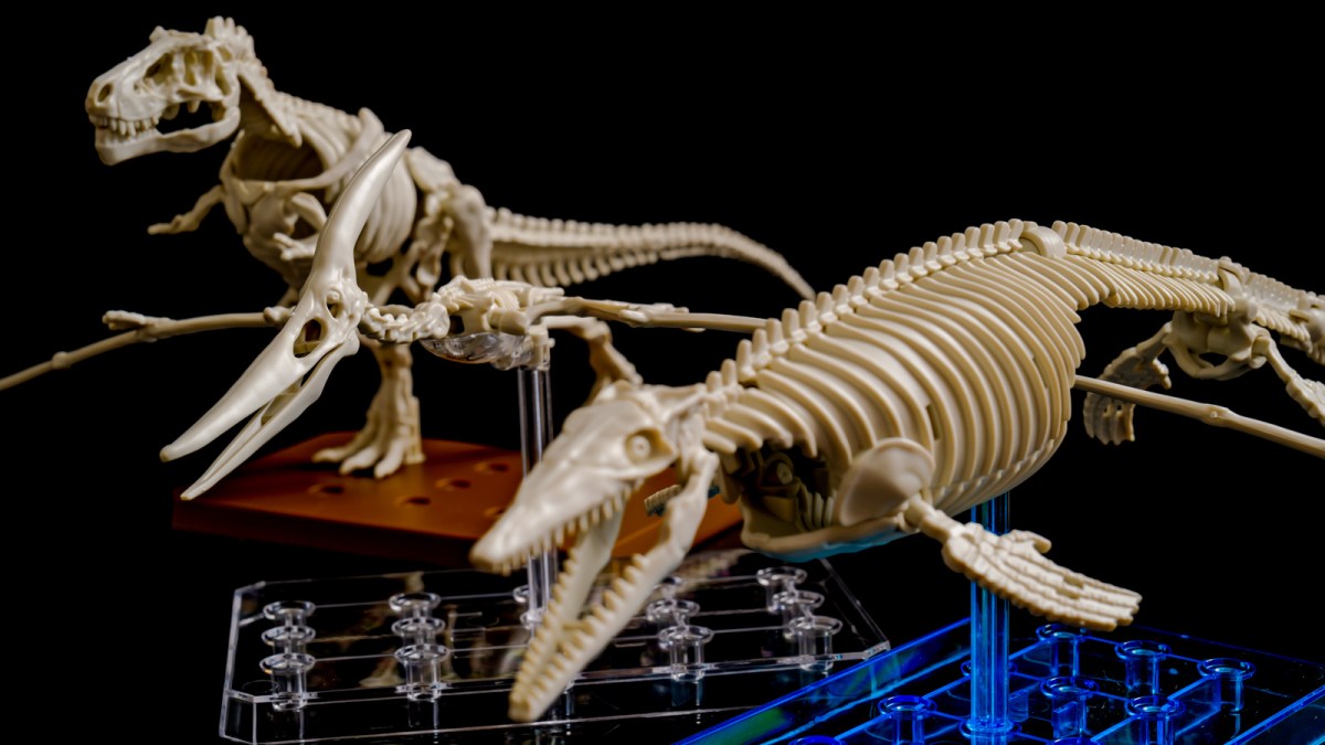 からぱたの記事一覧 Page 2 | nippper: ニッパーを握るすべての人と、モケイの楽しさをシェアするサイト